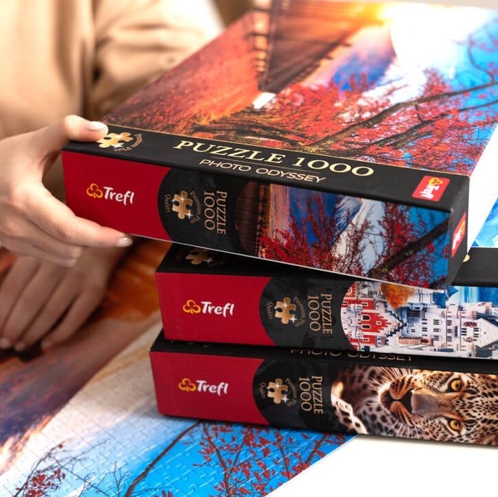 Puzzle Premium Plus Quality 1000 el. Photo Odyssey: Zamek Neuschwanstein, Niemcy | Trefl